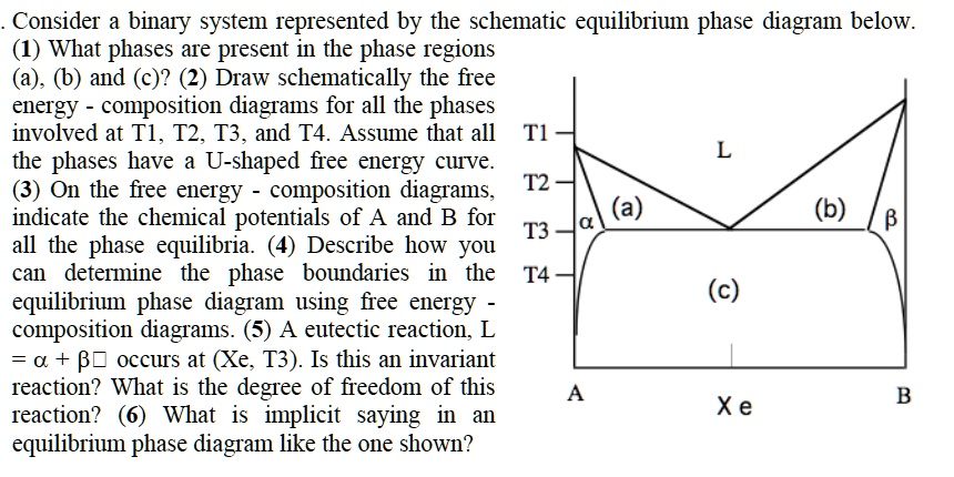 . Consider a binary system represented by the schematic equilibrium phase diagram below. (1 ...