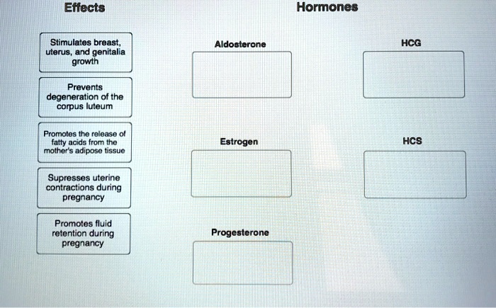 SOLVED: Effects Hormones Stimulates breast, uterus and genitalia growth ...