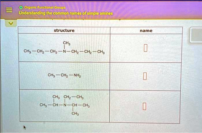 Organic Functional Groups Understanding the common names of simple amines structure name CH3 CH3 ...