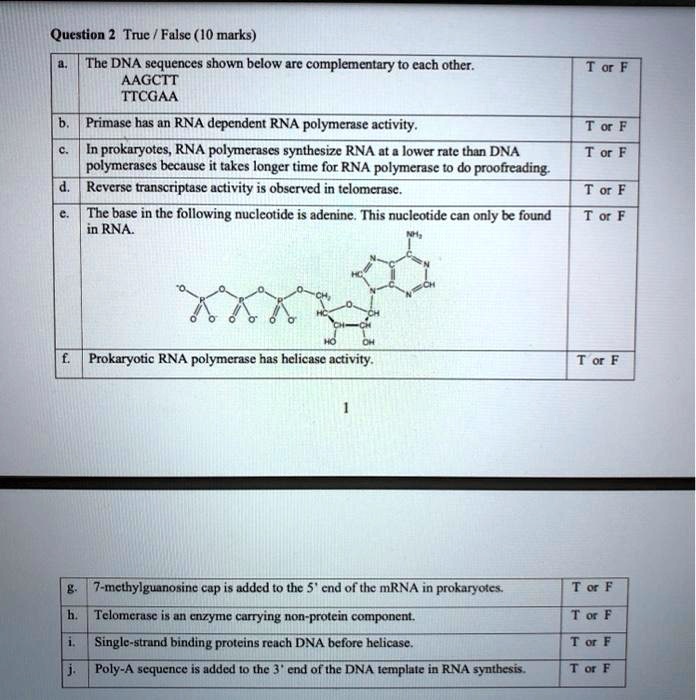 SOLVED:Question True False ( I0 marks) The DNA sequences shown below ...