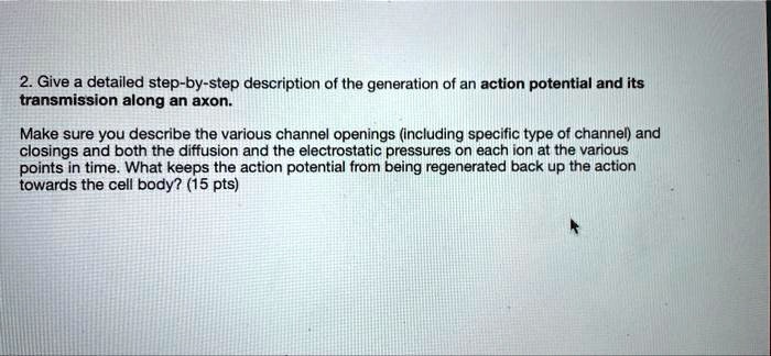 SOLVED: 2. Give a detailed step-by-step description of the generation ...