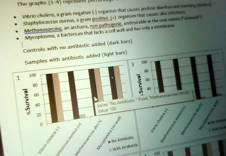 The graphs (1-4) represent percentage • Vibrio cholera, a gram negative ...
