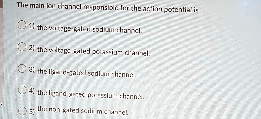 the main ion channel responsible for the action potential is 1 the ...