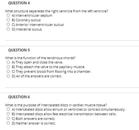 QUESTION 4 What structure separates the right ventricle from the left ...