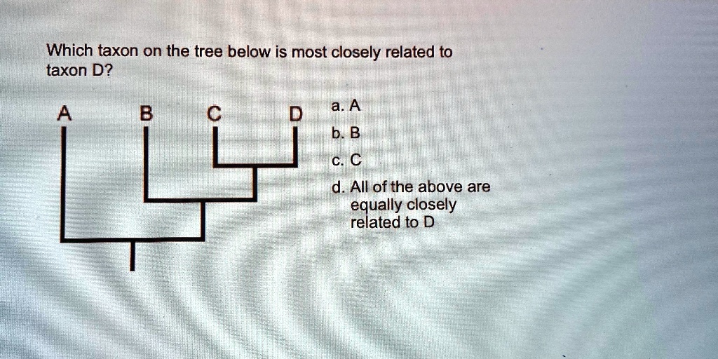 which taxon on the tree below is most closely related to taxon d a a b ...