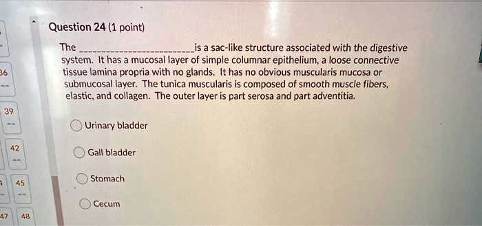 SOLVED: Question 24 (1 point) The is a sac-like structure associated ...