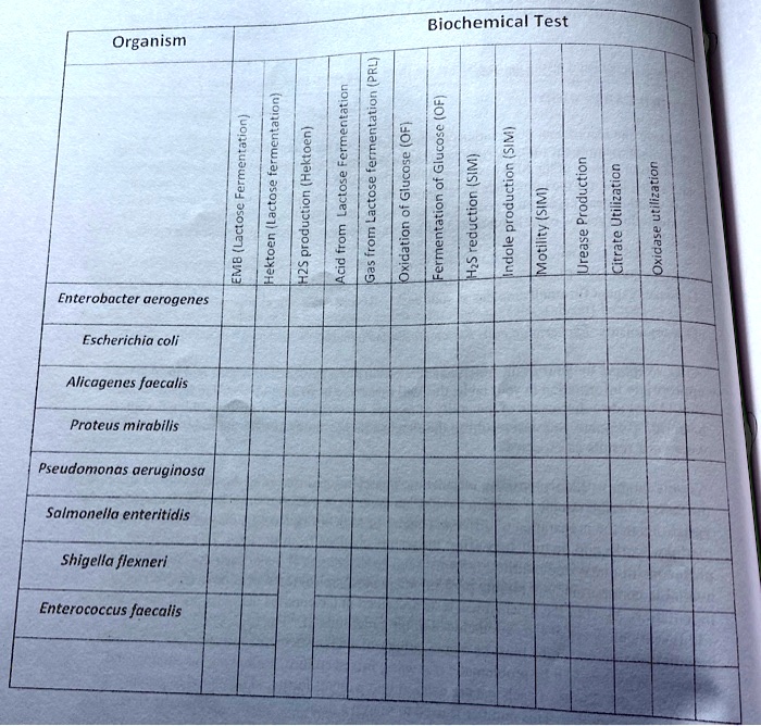 SOLVED: Biochemical Test Organism 2 g 1 1 I 5 J 5 K 1 L [ UV HU E 1 1 W ...
