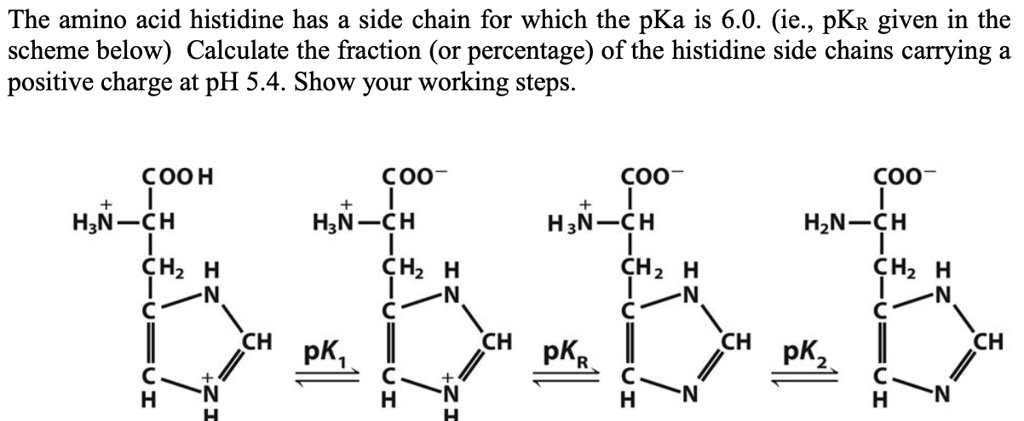 the amino acid histidine has side chain for which the pka is 60 ie pkr ...