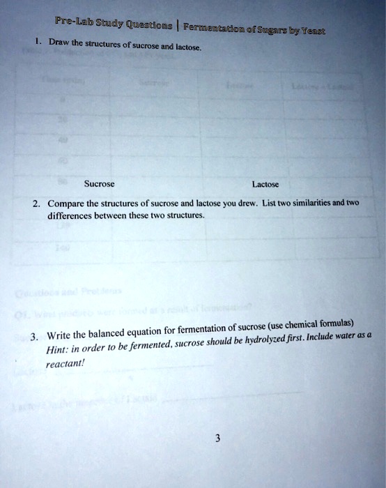 SOLVED: Pre-Lab Study Questions for Fermentation in Yeast Draw the ...