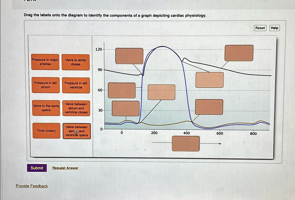 Drag the labels onto the diagram to identify the components of a graph depicting cardiac ...