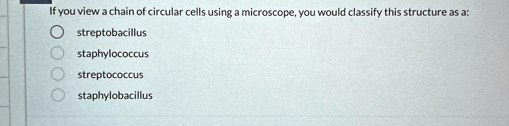 if you view a chain of circular cells using a microscope you would ...