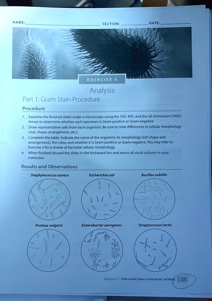 SOLVED: Please help with the correct drawing. Please indicate the ...
