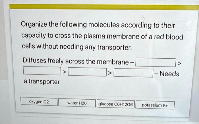 SOLVED: Organize the following molecules according to their capacity to cross the plasma ...