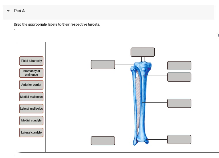 Part A Drag the appropriate labels to their respective...