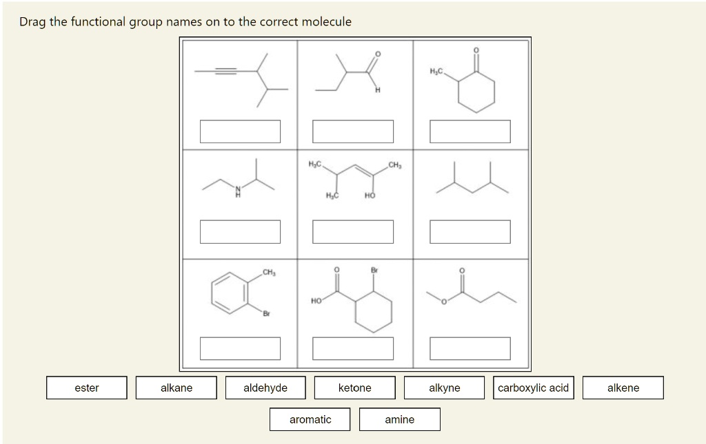 Drag the functional group names on to the correct molecule CH HC HO HC HO Br CH HC ester alkane ...