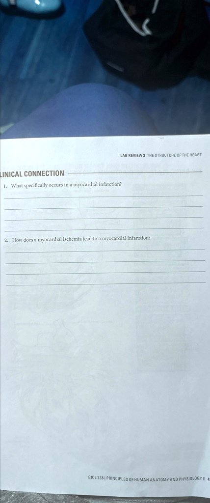 LINICAL CONNECTION 1. What specifically occurs in a myocardial infarction? LAB REVIEW 3 THE ...