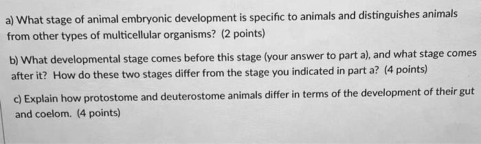 a what stage of animal embryonic development is specific to animals and ...