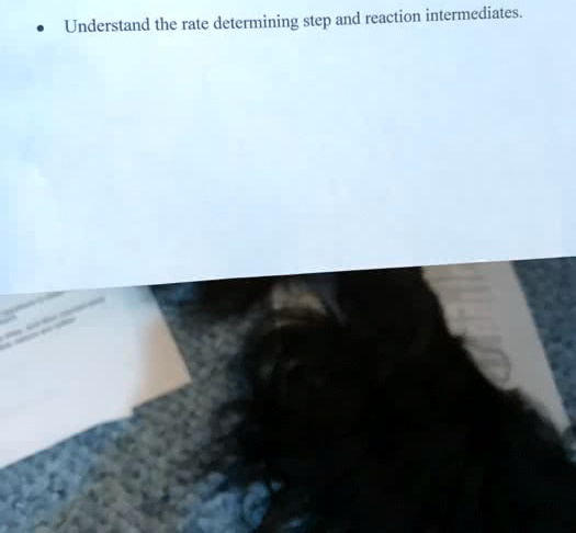 Solved Understand The Rate Determining Step And Reaction