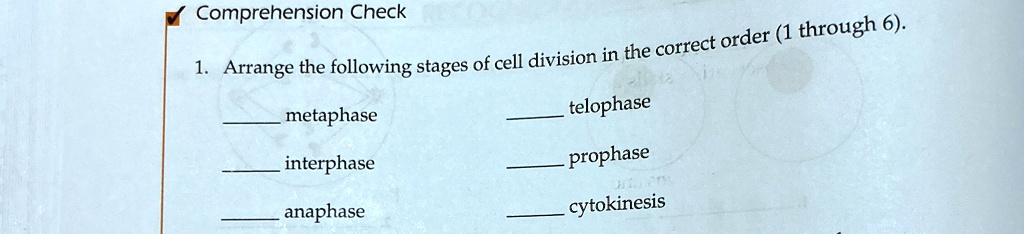 Comprehension Check 1. Arrange the following stages of cell division in ...