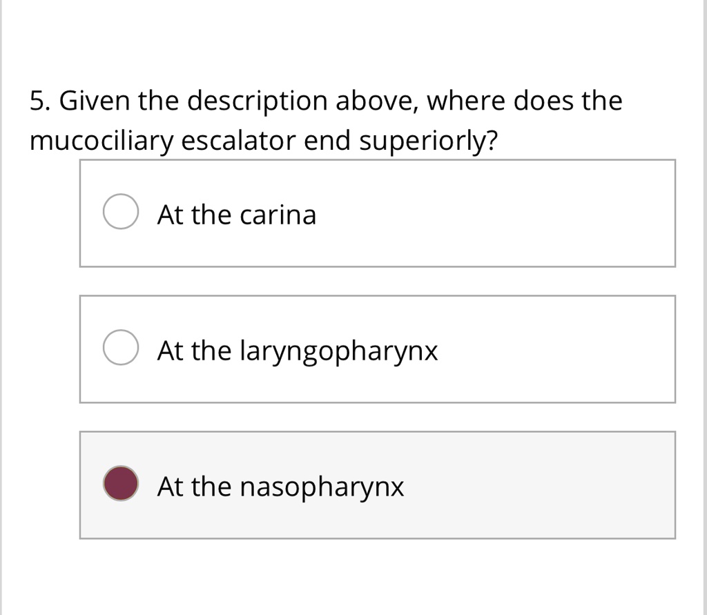 5. Given the description above, where does the mucociliary escalator ...