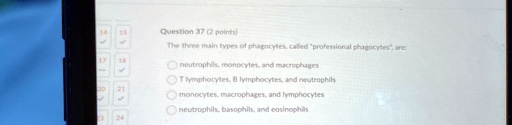 question 37 2 points the three main types of phagocytes called ...