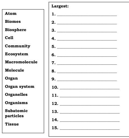 instruction list the following levels of biological organization from largest to smallest and ...