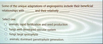 some of the unique adaptations of angiosperms include their beneficial ...