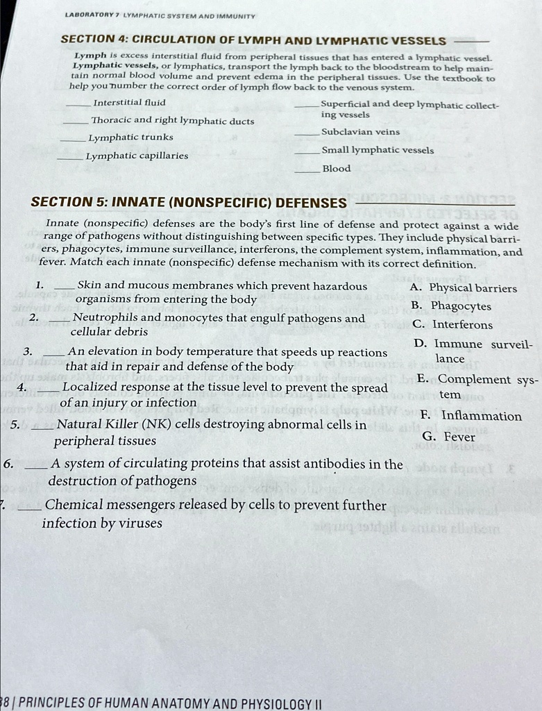 laboratory 7 lymphatic system and immunity section 4 circulation of ...