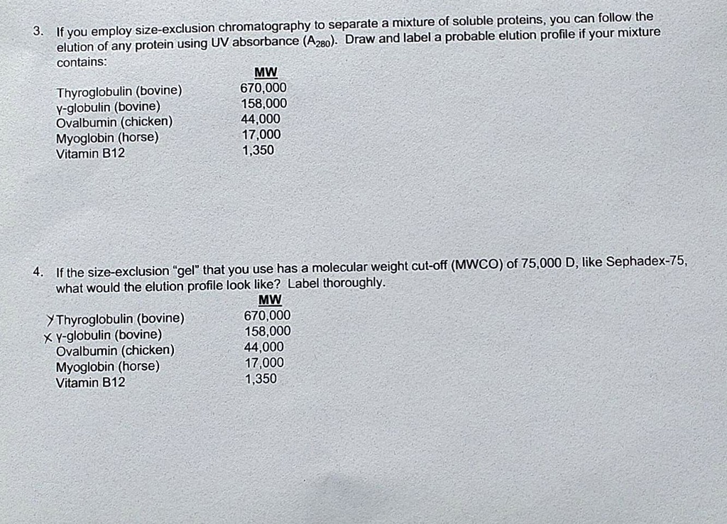 SOLVED: chromatography to separate a mixture of soluble proleins,you ...