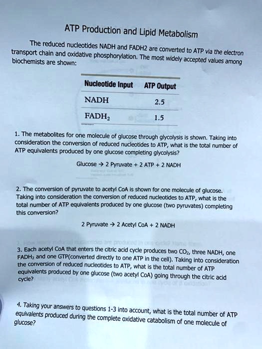 atp production and lipid metabolism the reduced nucleotides nadh and ...