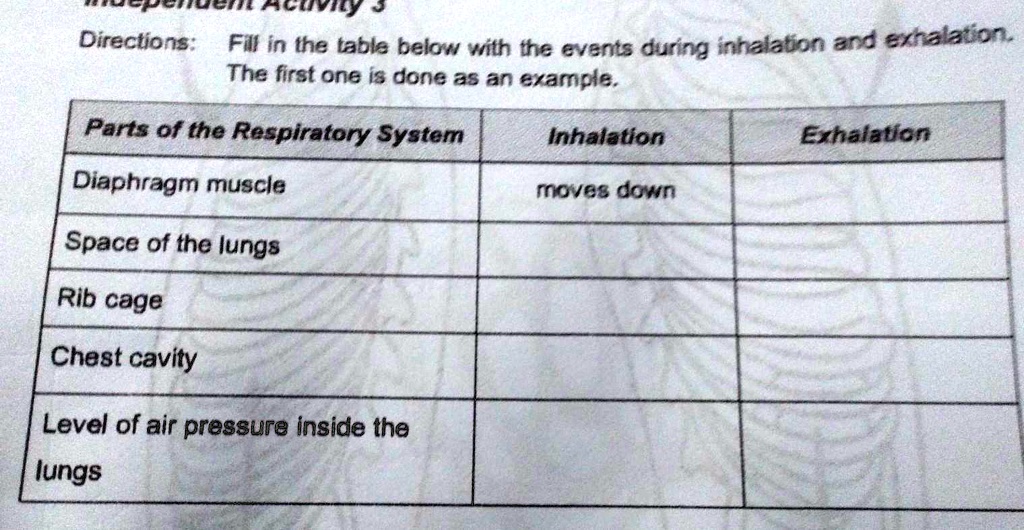 Directions: Fill in the table below with the events during inhalation ...