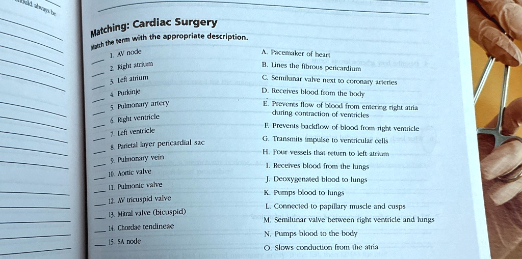 1 av node 2 right atrium 3 left atrium 4 purkinje 5 pulmonary artery 6 ...