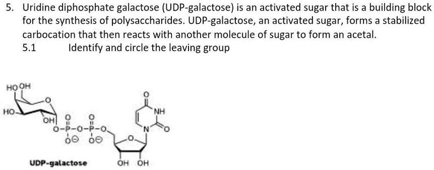 5. Uridine diphosphate galactose (UDP-galactose) is an activated sugar ...