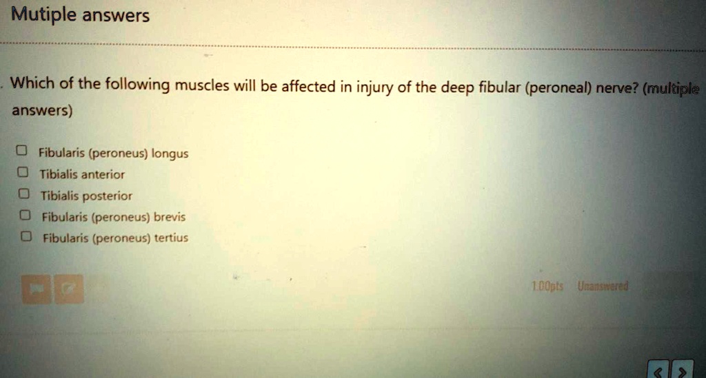 Multiple answers Which of the following muscles will be affected in ...