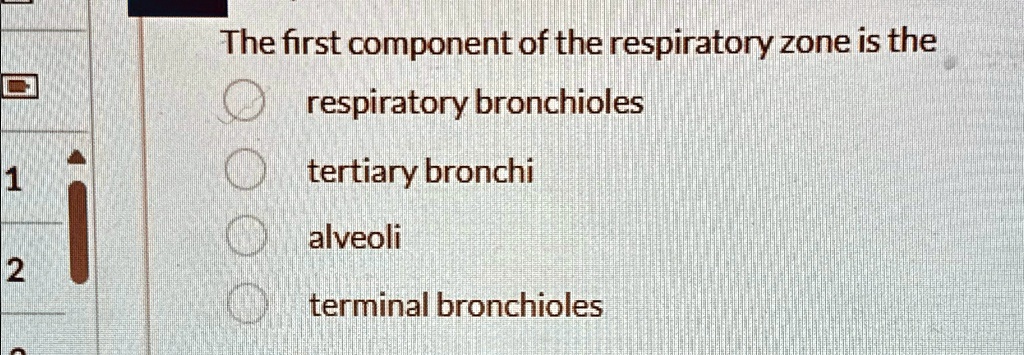 The first component of the respiratory zone is the respiratory ...