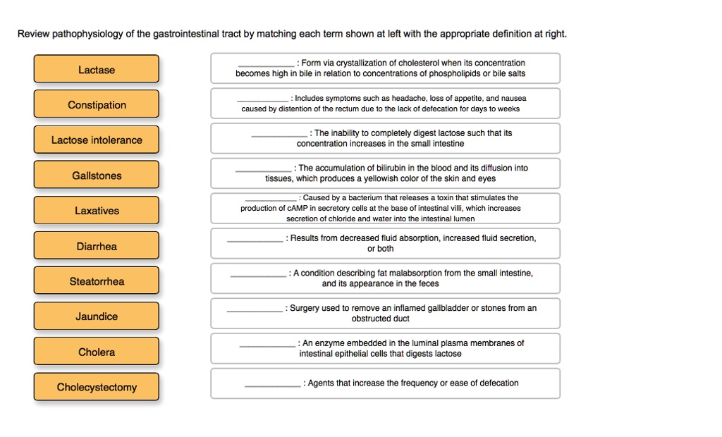 review pathophysiology of the gastrointestinal tract by matching each ...