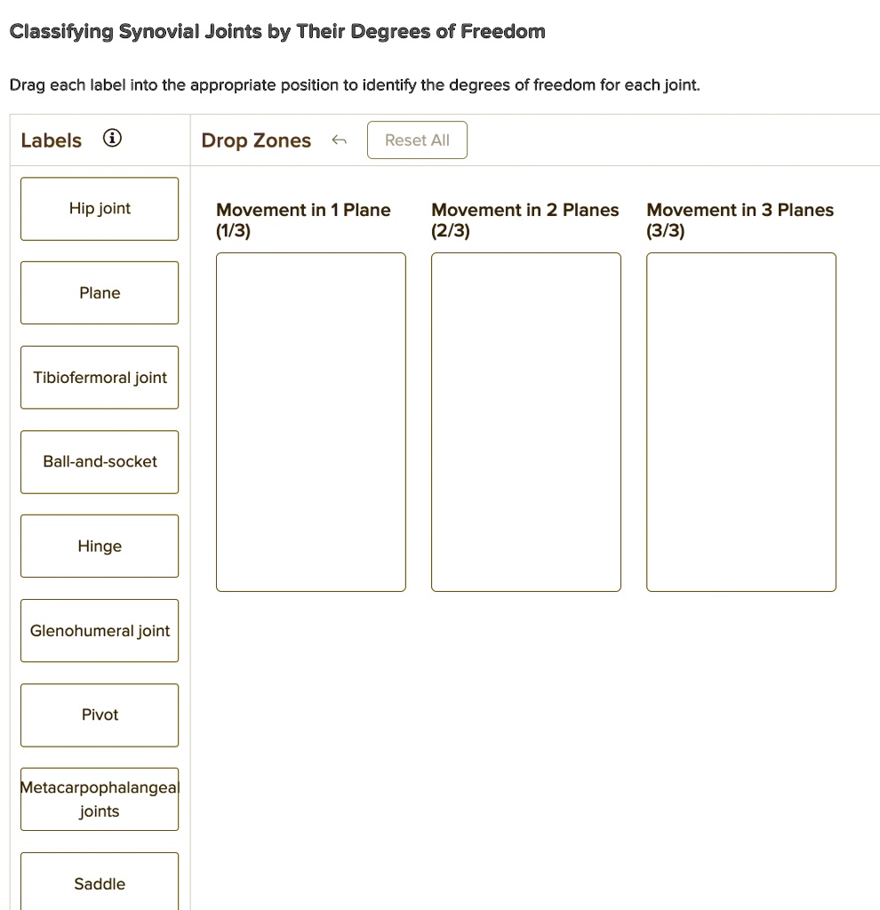 Classifying Synovial Joints by Their Degrees of Freedom Drag each label ... Classifying Synovial Joints by Their Degrees of Freedom Drag each label ...