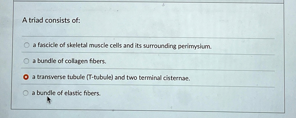 a triad consists of a fascicle of skeletal muscle cells and its ...