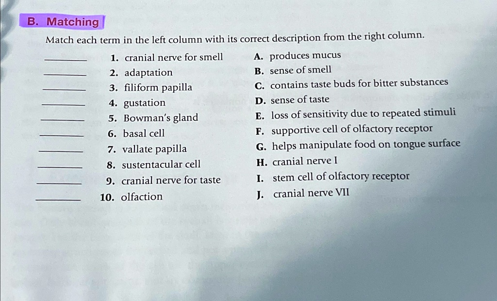 B. Matching Match each term in the left column with its correct description from the right ...