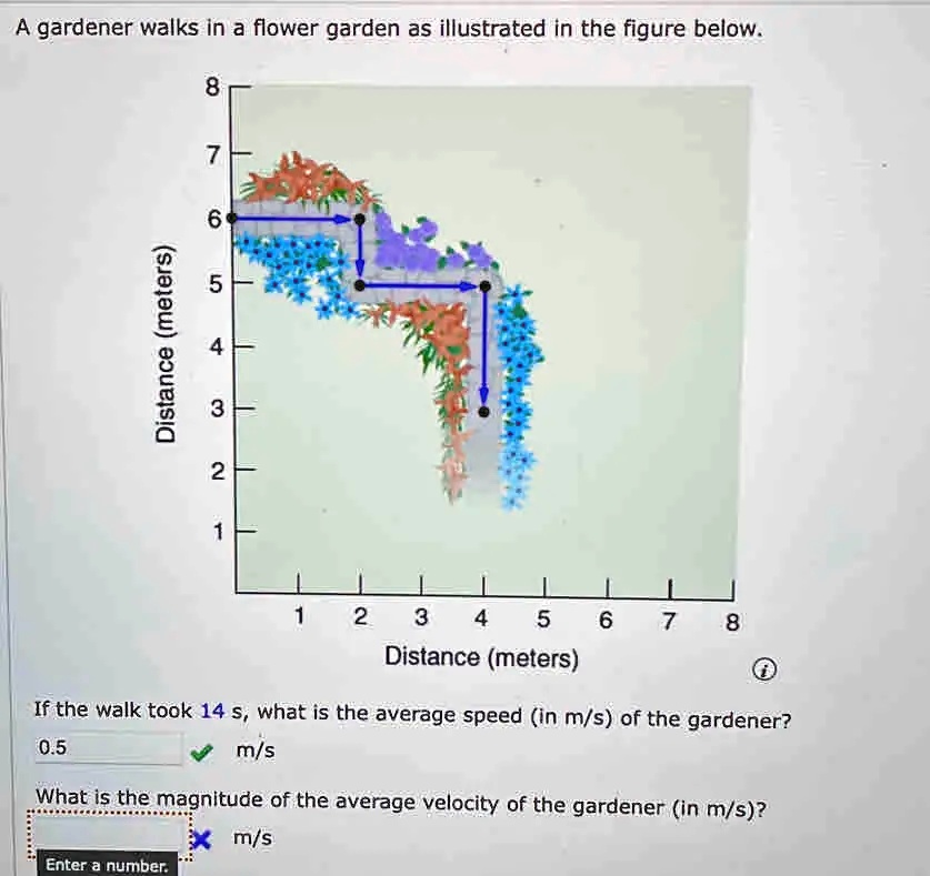 SOLVED: A gardener walks in a flower garden as illustrated in the ...
