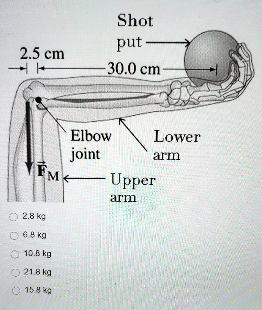 2.5 cm Shot put 30.0 cm F M 2.8 kg 6.8 kg Elbow joint Upper arm Lower ...