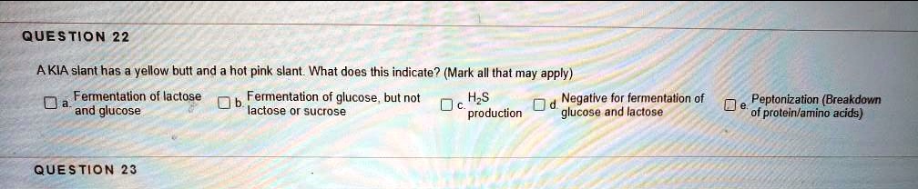 question 22 a kia slant has yellow butt and hot pink slant what does ...
