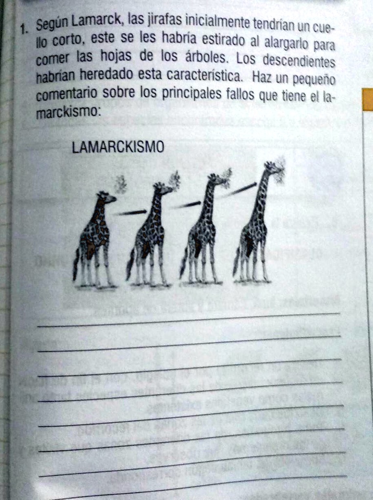 SOLVED: Quien me ayuda por favor Según Lamarck; las jirafas ... SOLVED: Quien me ayuda por favor Según Lamarck; las jirafas ...