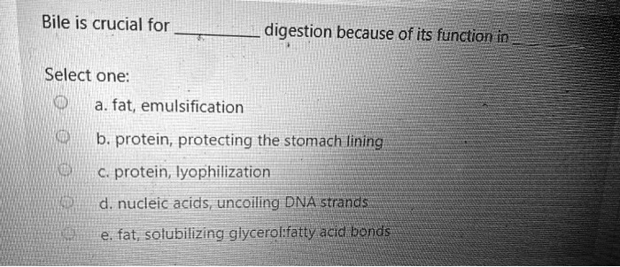 SOLVED: Bile is crucial for digestion because of its function Select ... SOLVED: Bile is crucial for digestion because of its function Select ...