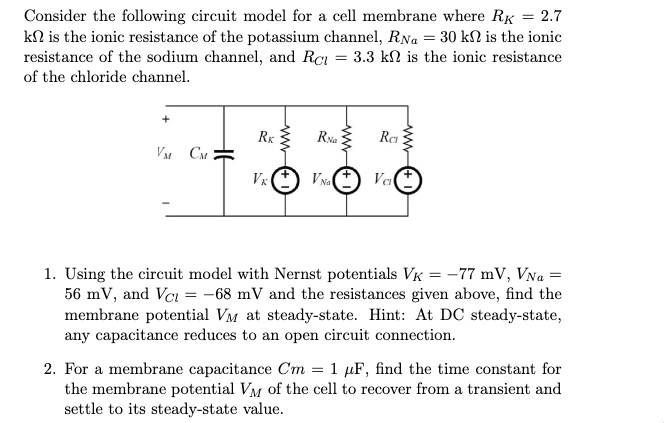 SOLVED: Question 2 Consider the following circuit model for a cell ...
