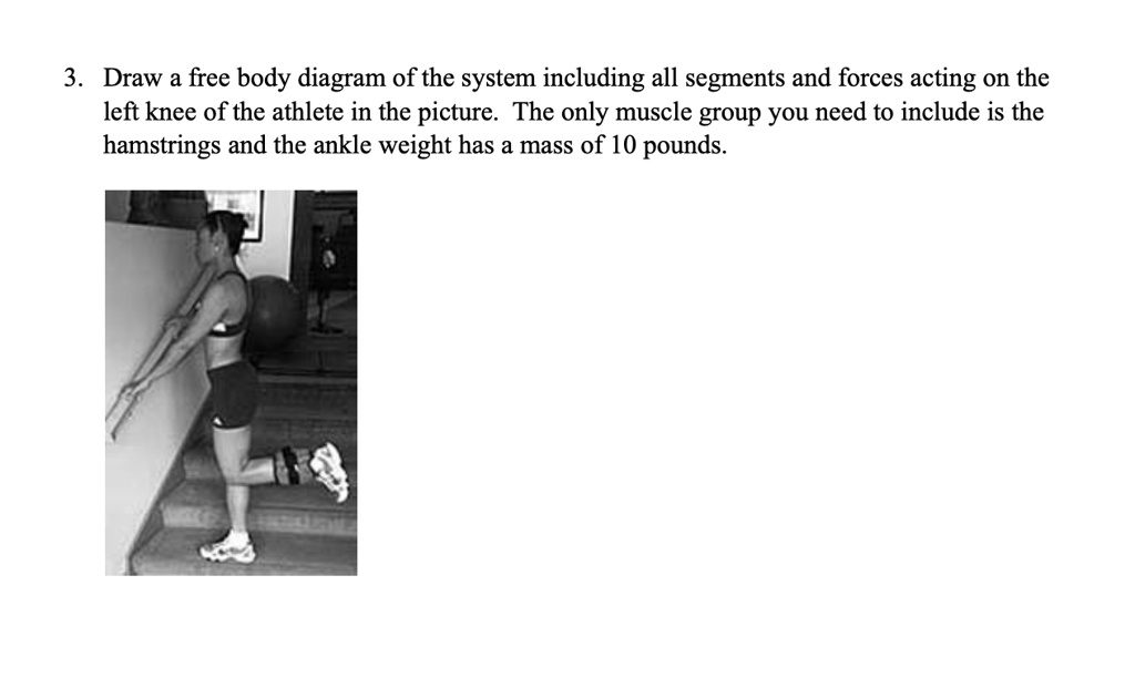 3. Draw a free body diagram of the system including all segments and ...