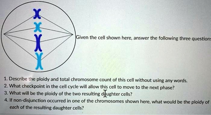 Given the cell shown here, answer the following three...