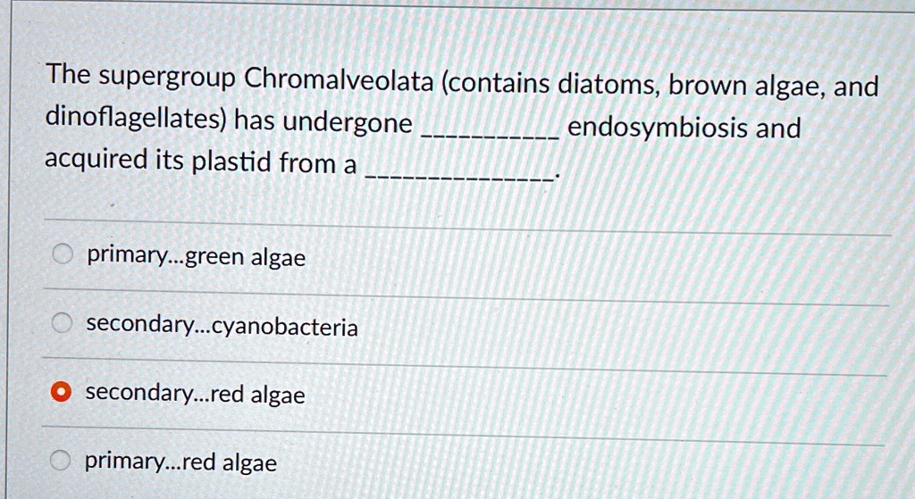 the supergroup chromalveolata contains diatoms brown algae and ...