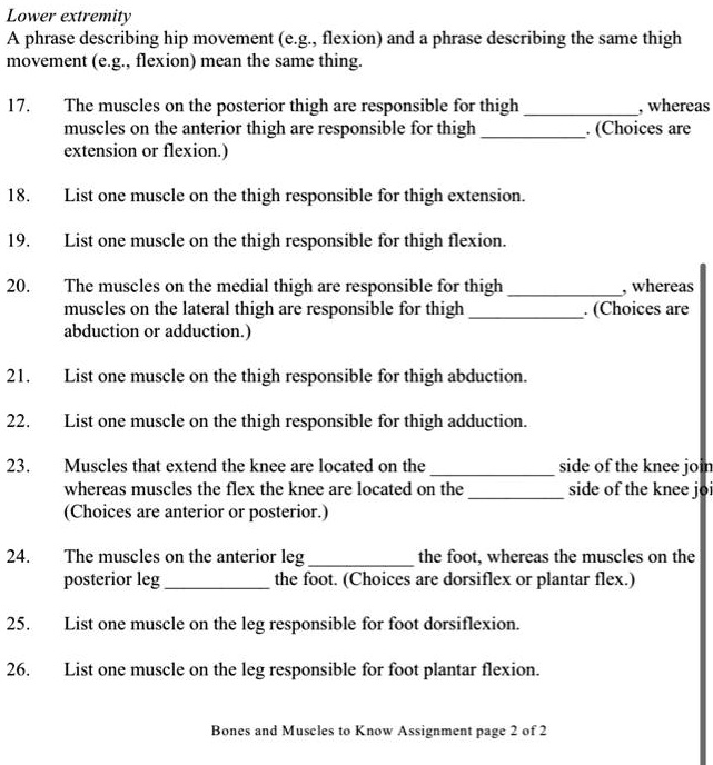 SOLVED: Lower extremity A phrase describing hip movement (e.g, flexion ...