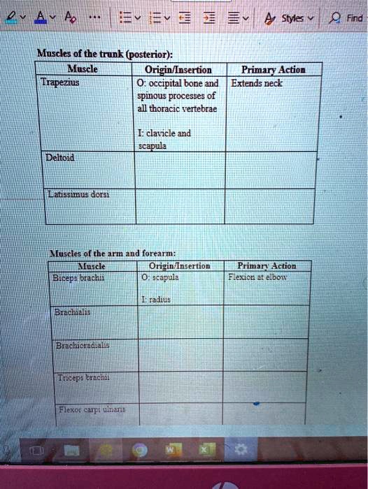 SOLVED: YAUAVVEASOF Muscles of the trunk (posterior: Muscle Origin ...
